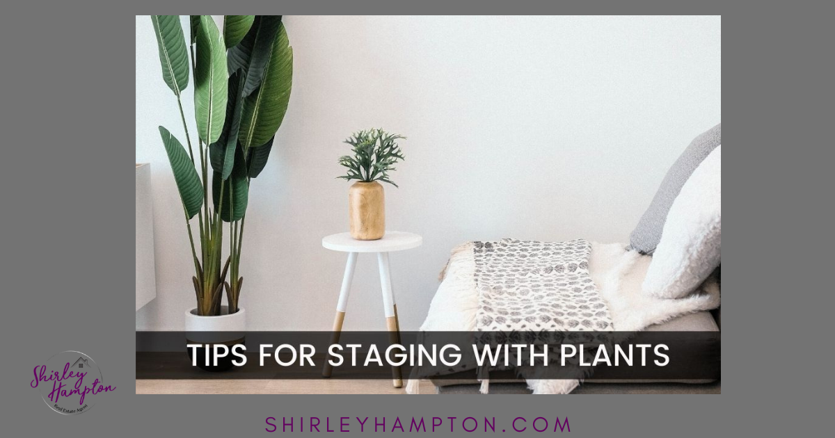 Tips for Staging with Plants - At Home with Shirley